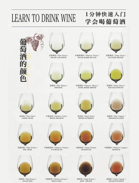 葡萄酒怎么喝是正确的_葡萄酒品鉴步骤-第2张图片-山城妙识 葡萄酒怎么喝是正确的_葡萄酒品鉴步骤-第2张图片-山城妙识
