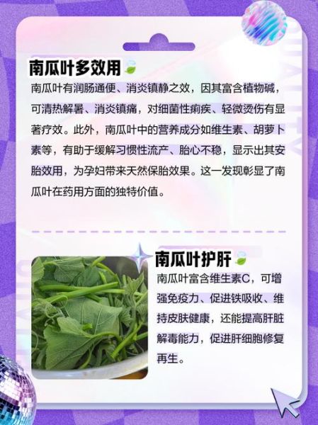 南瓜叶图片怎么拍_南瓜叶的功效与作用-第3张图片-山城妙识