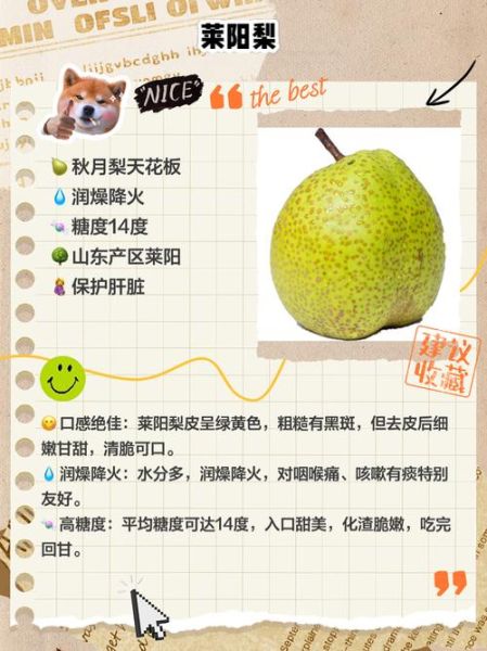 最好吃的梨品种有哪些_如何挑选最甜的梨-第1张图片-山城妙识 最好吃的梨品种有哪些_如何挑选最甜的梨-第1张图片-山城妙识