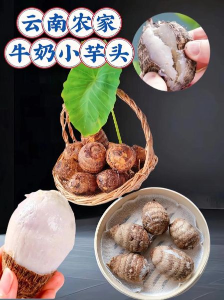 毛芋头怎么去皮不手痒_毛芋头蒸多久才软糯-第3张图片-山城妙识 毛芋头怎么去皮不手痒_毛芋头蒸多久才软糯-第3张图片-山城妙识