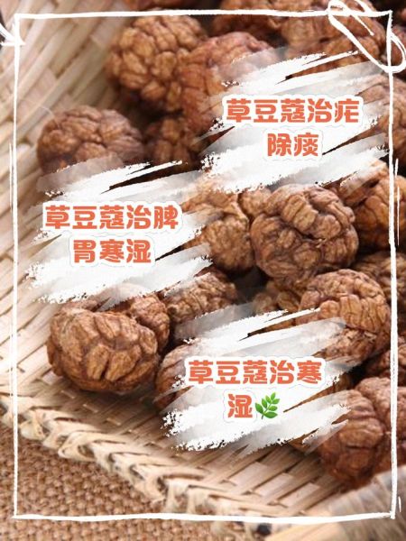 小豆蔻儿是什么_小豆蔻儿功效与作用-第1张图片-山城妙识