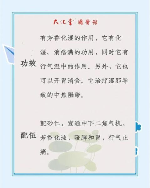 小豆蔻儿是什么_小豆蔻儿功效与作用-第3张图片-山城妙识