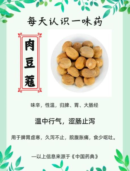 小豆蔻儿是什么_小豆蔻儿功效与作用-第2张图片-山城妙识