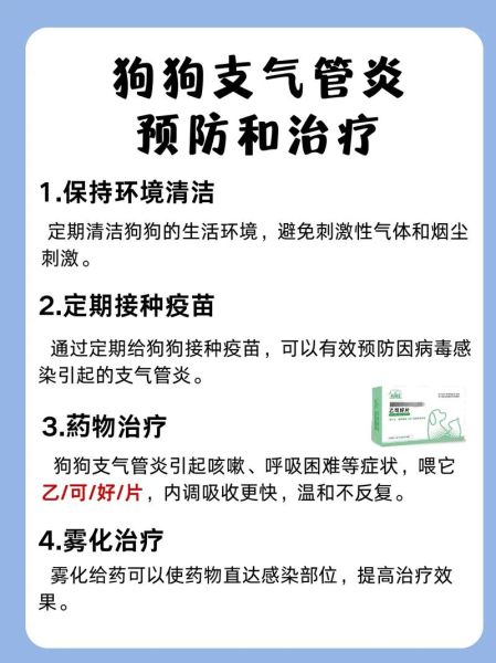 支气管炎怎么治疗才能除根_支气管炎反复发作怎么办-第3张图片-山城妙识