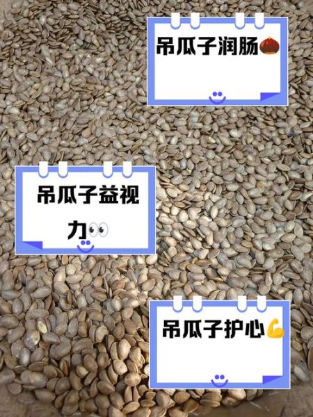 吊瓜子怎么种植_吊瓜子种植时间和方法-第2张图片-山城妙识 吊瓜子怎么种植_吊瓜子种植时间和方法-第2张图片-山城妙识