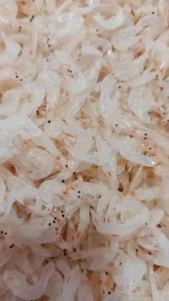 虾皮补钙还是虾肉补钙_哪个更好-第1张图片-山城妙识