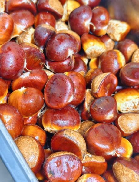 新鲜毛栗子怎么去皮_毛栗子快速去皮方法-第2张图片-山城妙识 新鲜毛栗子怎么去皮_毛栗子快速去皮方法-第2张图片-山城妙识