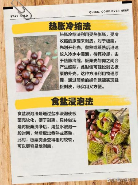 新鲜毛栗子怎么去皮_毛栗子快速去皮方法-第3张图片-山城妙识 新鲜毛栗子怎么去皮_毛栗子快速去皮方法-第3张图片-山城妙识