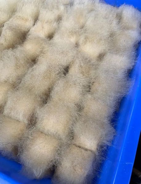 徽州毛豆腐是什么_徽州毛豆腐怎么吃-第3张图片-山城妙识 徽州毛豆腐是什么_徽州毛豆腐怎么吃-第3张图片-山城妙识