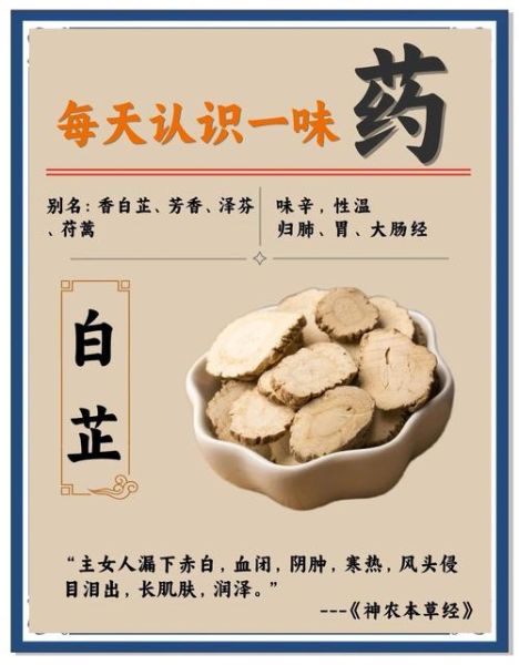 白芷可以祛斑吗_白芷祛斑的正确用法-第1张图片-山城妙识