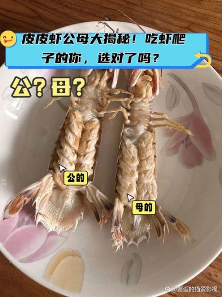 皮皮虾哪些部位不能吃_图解去壳技巧-第3张图片-山城妙识 皮皮虾哪些部位不能吃_图解去壳技巧-第3张图片-山城妙识