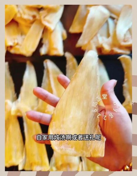 冰鲜鱼翅怎么泡发_冰鲜鱼翅家常做法-第3张图片-山城妙识