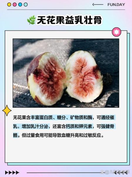 痔疮最怕无花果_无花果治痔疮怎么吃-第3张图片-山城妙识