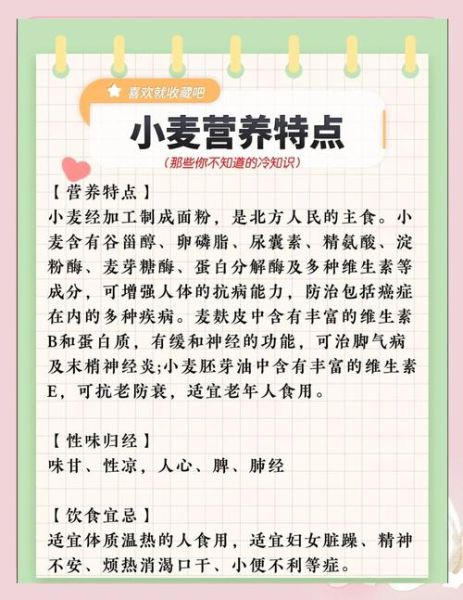 小麦粉的功效与作用_小麦粉有哪些营养价值-第1张图片-山城妙识