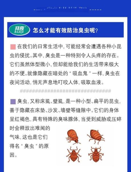 臭椿虫怎么彻底消灭_臭椿虫对人体有害吗-第3张图片-山城妙识 臭椿虫怎么彻底消灭_臭椿虫对人体有害吗-第3张图片-山城妙识