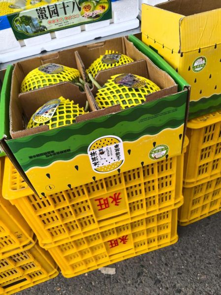 特小凤西瓜多少钱一斤_特小凤西瓜价格行情-第2张图片-山城妙识 特小凤西瓜多少钱一斤_特小凤西瓜价格行情-第2张图片-山城妙识