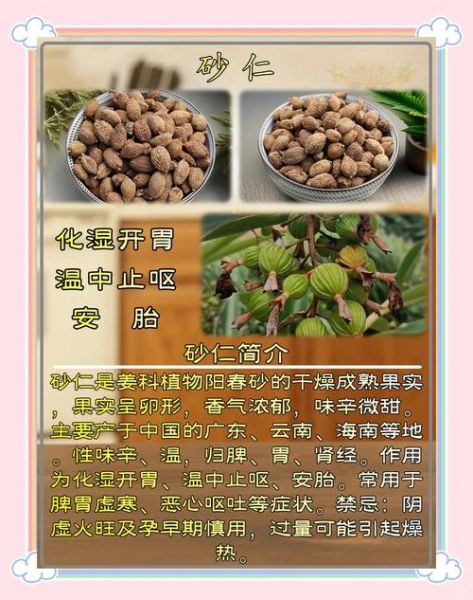 砂仁的功效与作用禁忌_砂仁怎么吃效果最好-第1张图片-山城妙识