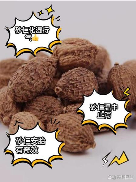 砂仁的功效与作用禁忌_砂仁怎么吃效果最好-第2张图片-山城妙识