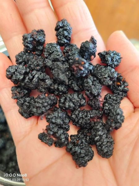 肾阴虚能吃桑葚补肾吗_桑葚补肾效果怎么样-第3张图片-山城妙识