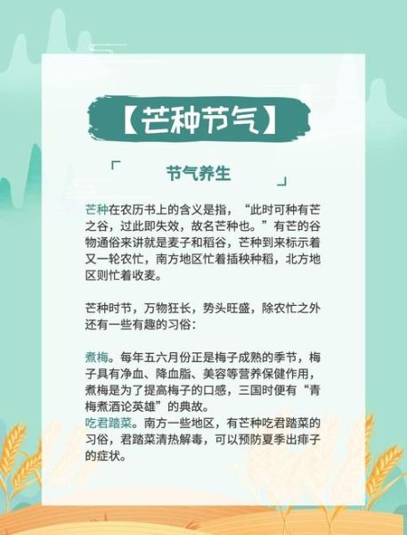 芒种有什么美好寓意_芒种节气如何养生-第1张图片-山城妙识