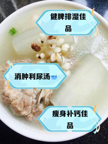 冬瓜薏米排骨汤的功效_适合什么人喝-第3张图片-山城妙识