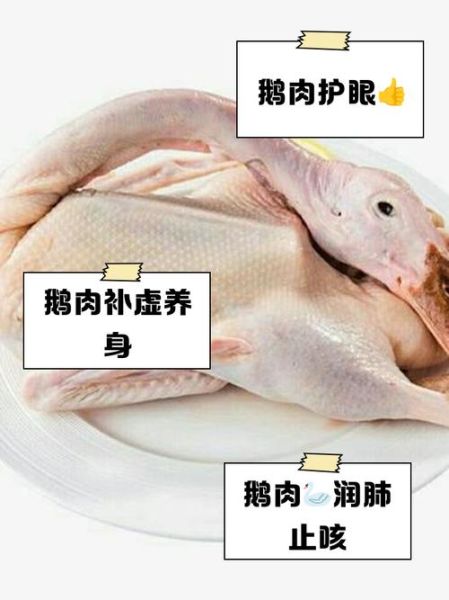 为什么鹅肉很少人吃_鹅肉不受欢迎的原因-第3张图片-山城妙识