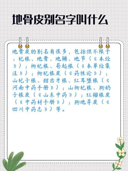 地骨皮的功效与作用及禁忌_哪些人不能吃-第2张图片-山城妙识 地骨皮的功效与作用及禁忌_哪些人不能吃-第2张图片-山城妙识