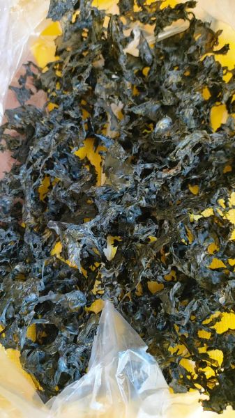 地皮菜干多少钱一斤_哪里买地皮菜干最便宜-第3张图片-山城妙识 地皮菜干多少钱一斤_哪里买地皮菜干最便宜-第3张图片-山城妙识