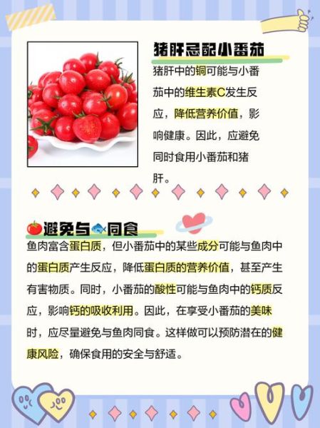 吃西红柿的禁忌_西红柿不能和什么一起吃-第1张图片-山城妙识