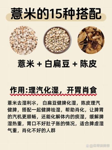 清热祛湿吃什么药_湿热体质如何调理-第2张图片-山城妙识 清热祛湿吃什么药_湿热体质如何调理-第2张图片-山城妙识