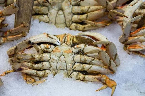 24小时之内死了的梭子蟹能吃吗_如何判断是否变质-第1张图片-山城妙识