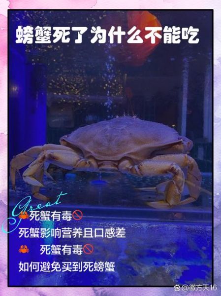 螃蟹死了多久不能吃_如何判断螃蟹是否变质-第3张图片-山城妙识