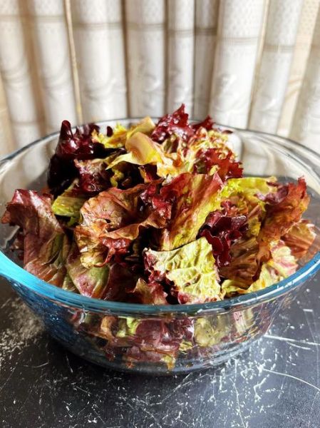 紫包菜怎么做好吃_紫包菜凉拌还是炒-第1张图片-山城妙识 紫包菜怎么做好吃_紫包菜凉拌还是炒-第1张图片-山城妙识