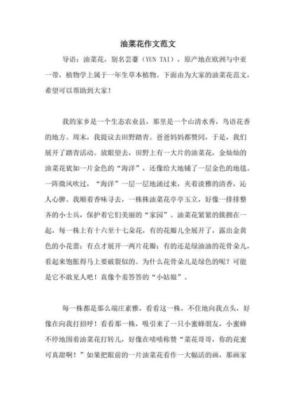 油菜花作文100字怎么写_油菜花作文100字写作技巧-第3张图片-山城妙识 油菜花作文100字怎么写_油菜花作文100字写作技巧-第3张图片-山城妙识