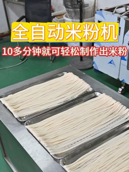 米粉加工厂利润有多大_米粉加工厂一年能赚多少钱-第3张图片-山城妙识