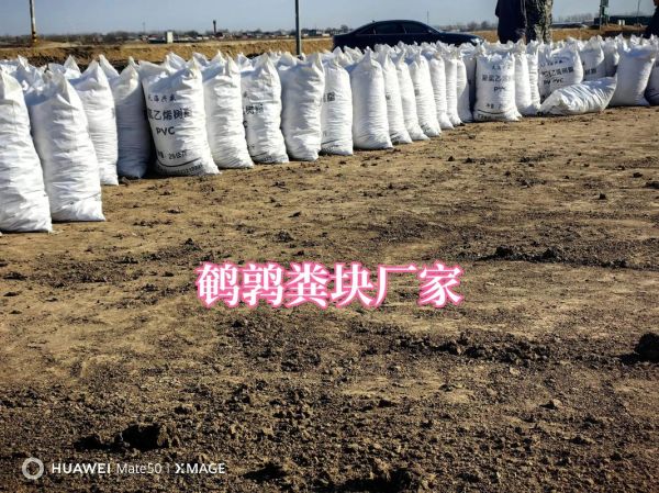 鹌鹑饲料配方_如何自制低成本高营养-第2张图片-山城妙识