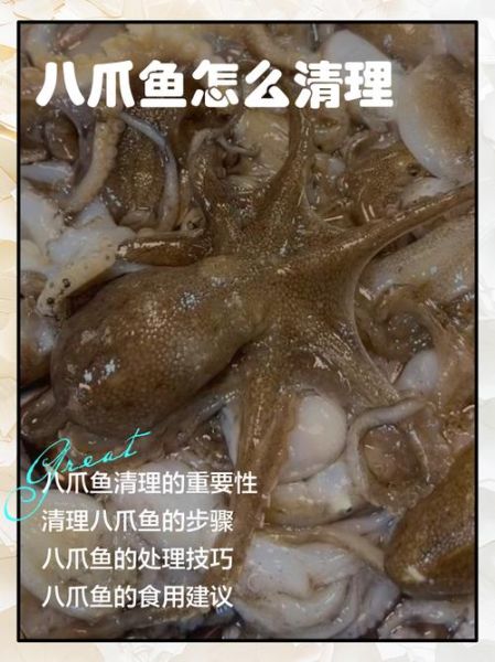 八爪鱼爬虫怎么用_八爪鱼爬虫收费吗-第1张图片-山城妙识
