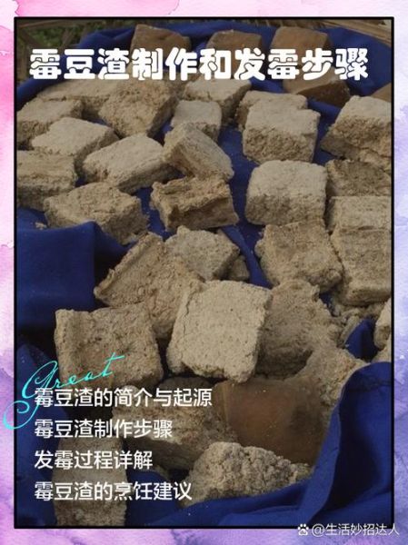 霉豆渣怎么做好吃_霉豆渣的家常做法窍门-第1张图片-山城妙识