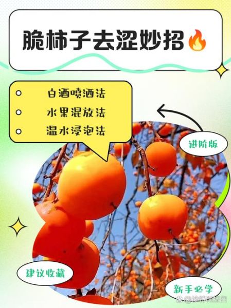 脆柿子连皮吃了怎么办_会不会中毒-第1张图片-山城妙识 脆柿子连皮吃了怎么办_会不会中毒-第1张图片-山城妙识