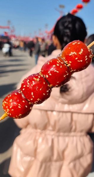 冰糖葫芦原唱是谁_冰糖葫芦歌曲背景故事-第2张图片-山城妙识