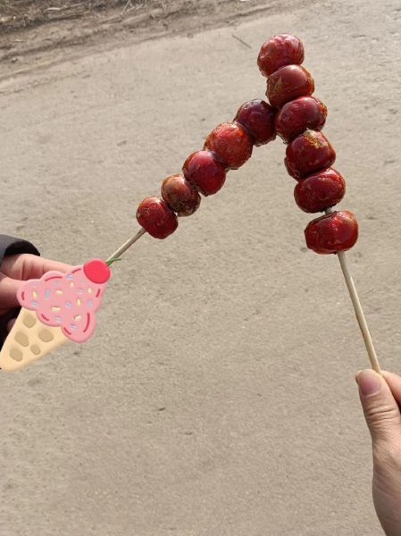 冰糖葫芦原唱是谁_冰糖葫芦歌曲背景故事-第3张图片-山城妙识