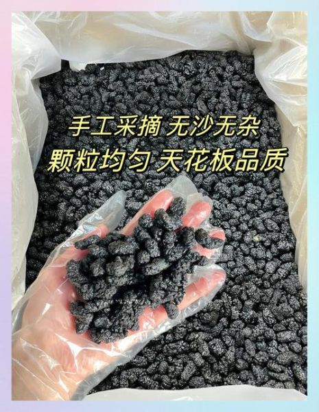 桑葚干一天吃多少合适_桑葚干怎么吃效果最好-第3张图片-山城妙识 桑葚干一天吃多少合适_桑葚干怎么吃效果最好-第3张图片-山城妙识