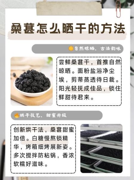 桑葚干一天吃多少合适_桑葚干怎么吃效果最好-第1张图片-山城妙识 桑葚干一天吃多少合适_桑葚干怎么吃效果最好-第1张图片-山城妙识