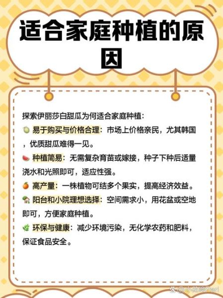 伊丽莎白瓜多少钱一斤_伊丽莎白瓜价格行情-第2张图片-山城妙识 伊丽莎白瓜多少钱一斤_伊丽莎白瓜价格行情-第2张图片-山城妙识