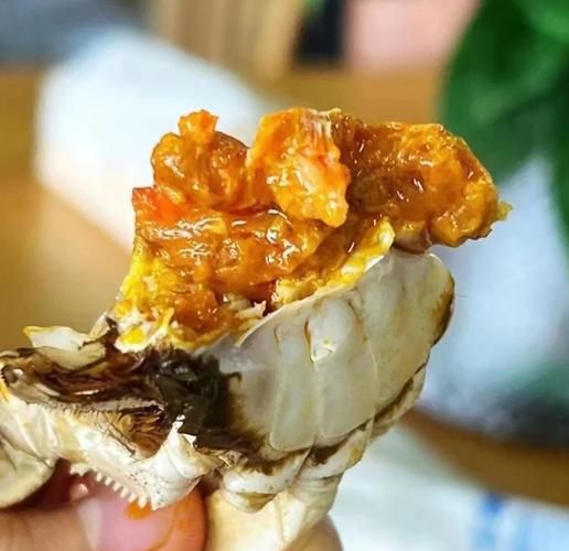 盘锦河蟹高清大图哪里找_如何分辨正宗盘锦河蟹-第3张图片-山城妙识 盘锦河蟹高清大图哪里找_如何分辨正宗盘锦河蟹-第3张图片-山城妙识