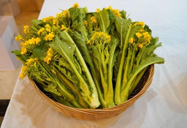 迟菜心和菜心的区别_哪个更好吃-第3张图片-山城妙识 迟菜心和菜心的区别_哪个更好吃-第3张图片-山城妙识