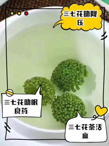 三七花降血压效果好吗_三七花怎么泡水喝-第1张图片-山城妙识 三七花降血压效果好吗_三七花怎么泡水喝-第1张图片-山城妙识