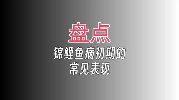 锦鲤鱼怎么养_锦鲤鱼常见病有哪些-第1张图片-山城妙识 锦鲤鱼怎么养_锦鲤鱼常见病有哪些-第1张图片-山城妙识