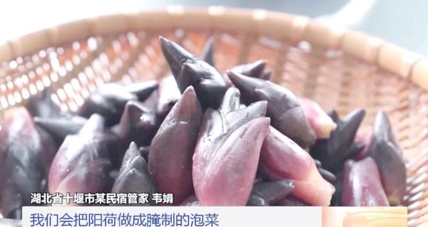 阳荷怎么做好吃_阳荷的做法大全-第2张图片-山城妙识