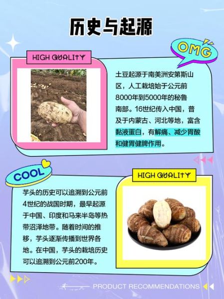 洋山芋怎么保存不发芽_洋山芋和土豆区别-第3张图片-山城妙识 洋山芋怎么保存不发芽_洋山芋和土豆区别-第3张图片-山城妙识